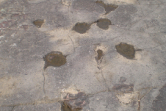 The Bendricks - Fossilised Dinosaur Footprints | Rockwatch