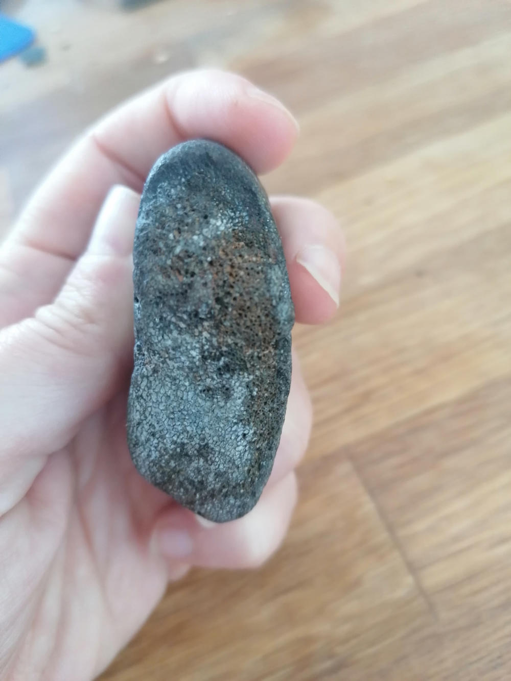 Freya’s Dinosaur Bone Discovery at Compton Bay | Rockwatch