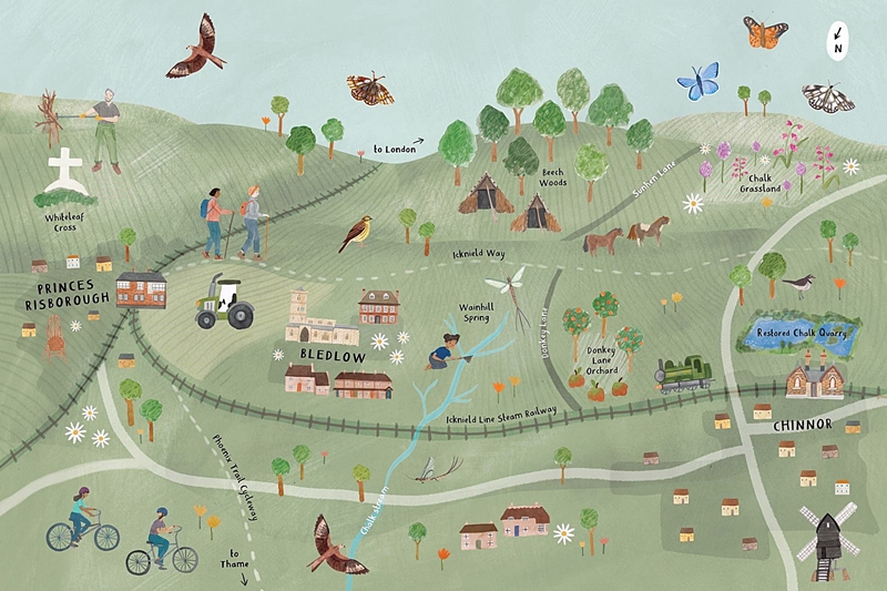 Exploring Chilterns Chalk: A Journey Through Time with Rockwatch ...