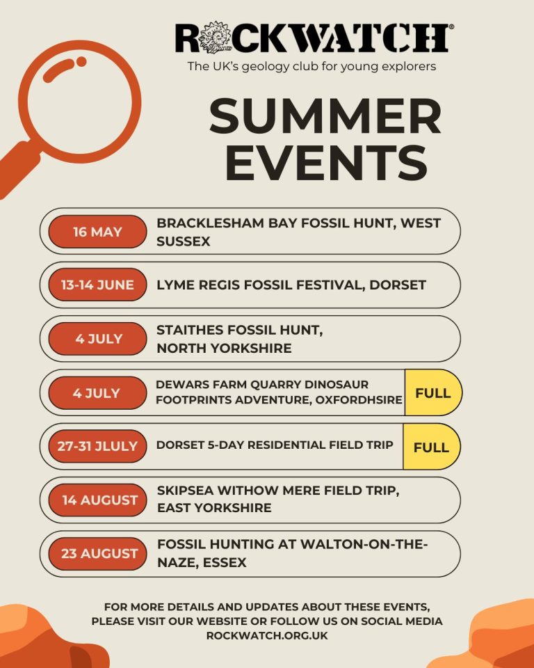 Rockwatch Summer Events 2026 – Adventures Waiting to Be Discovered ...